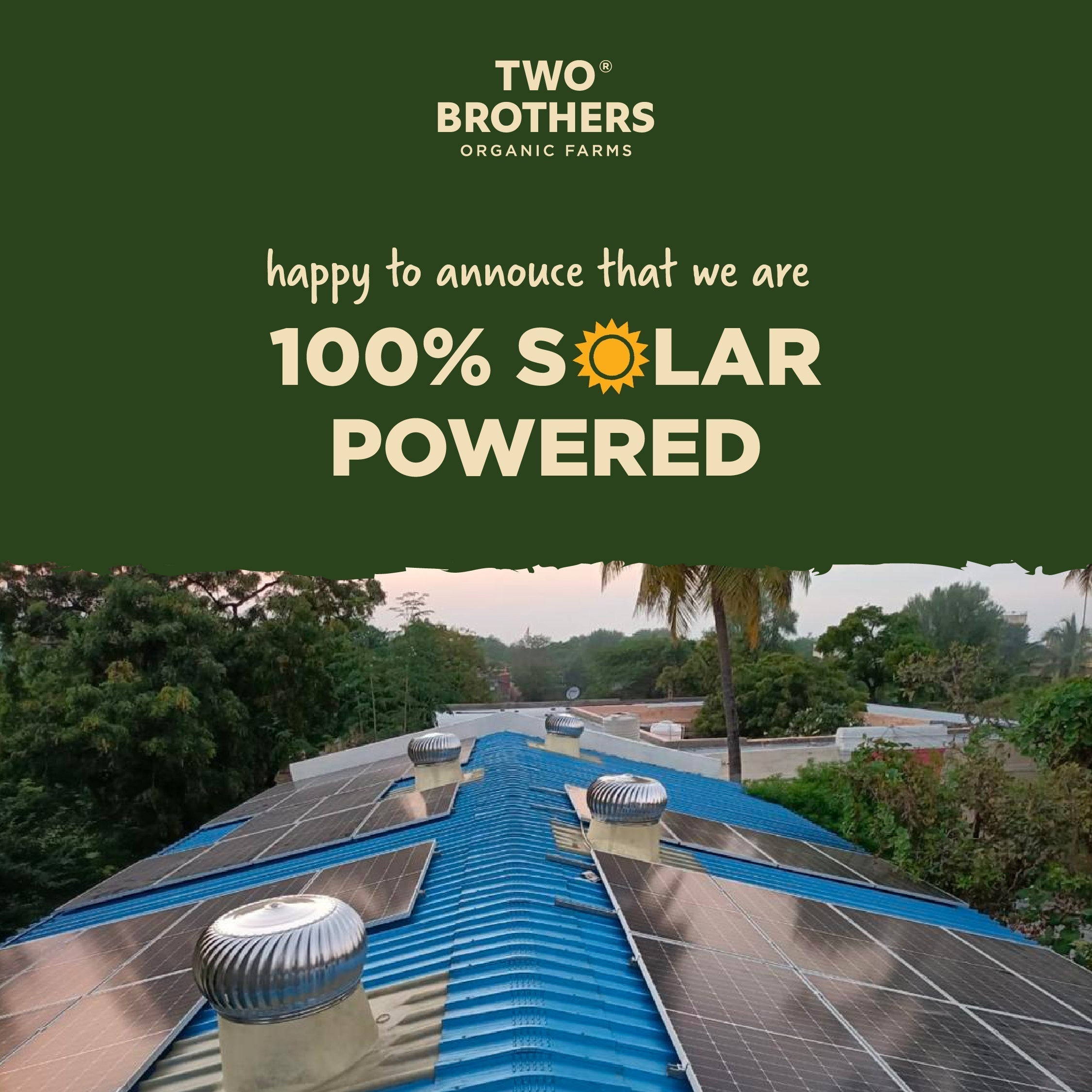 100% Solar Powered Plant - Sustainable Farming – USA Two Brothers Farms