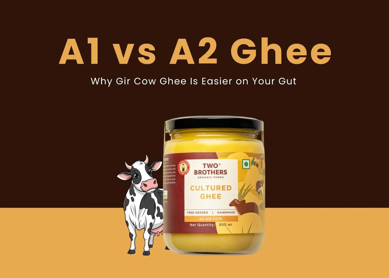 A2 Beta-Casein vs A1: Why Gir Cow Ghee Is Anti-Inflammatory – USA Two ...