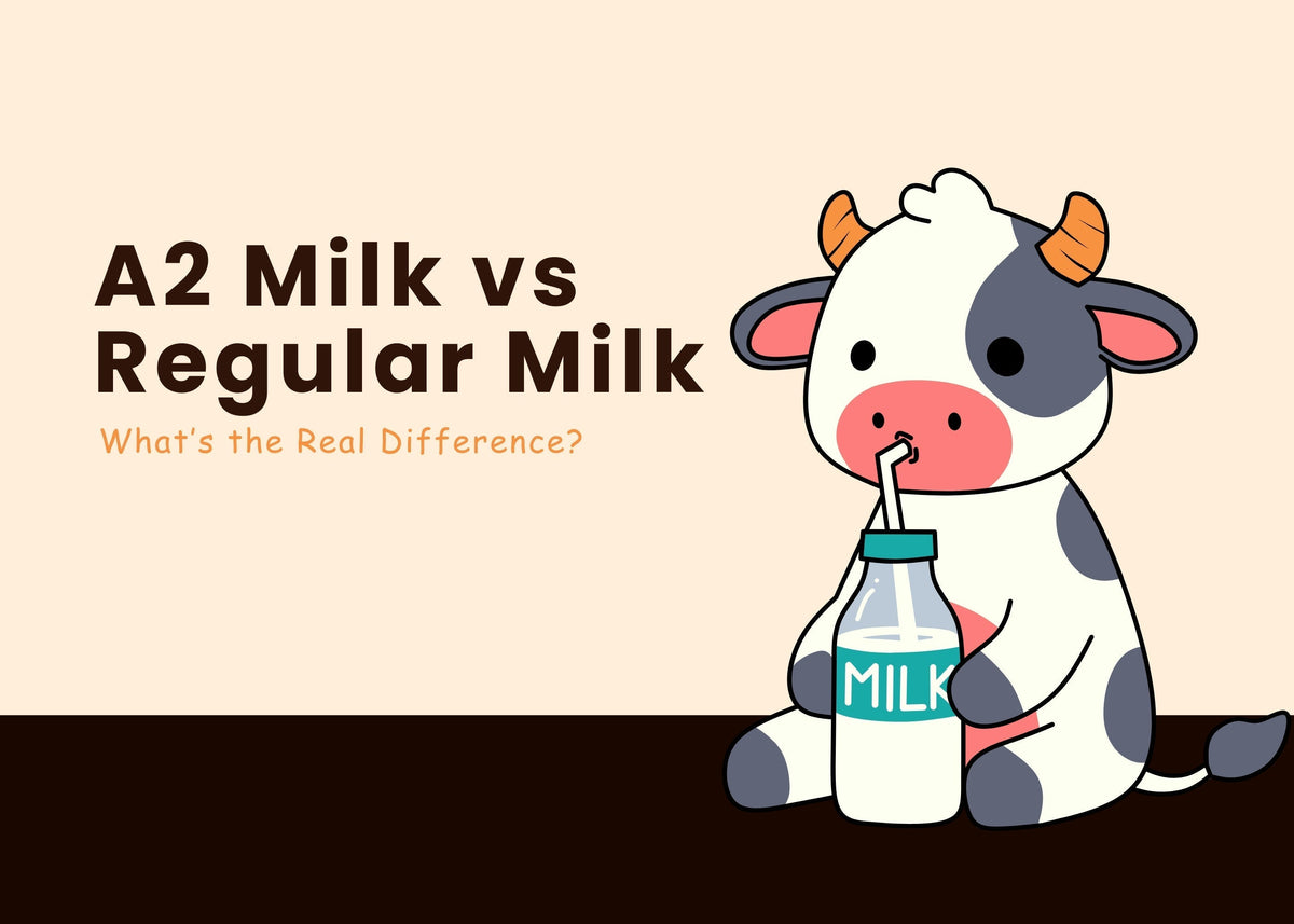 What's The Real Difference Between A2 Milk Products and Regular Milk ...
