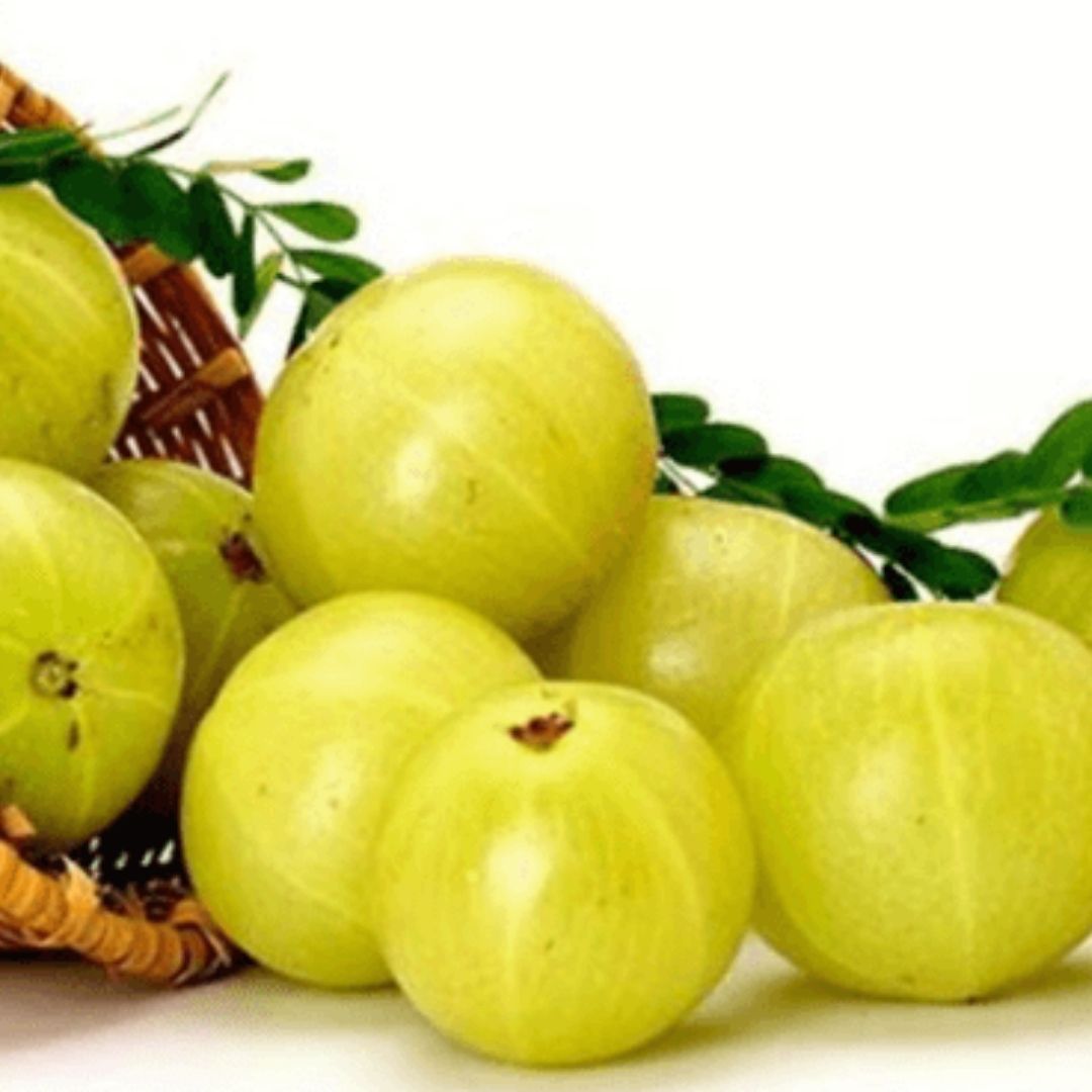 Buy Amla Products Online – Supercharge Your Health Naturally
