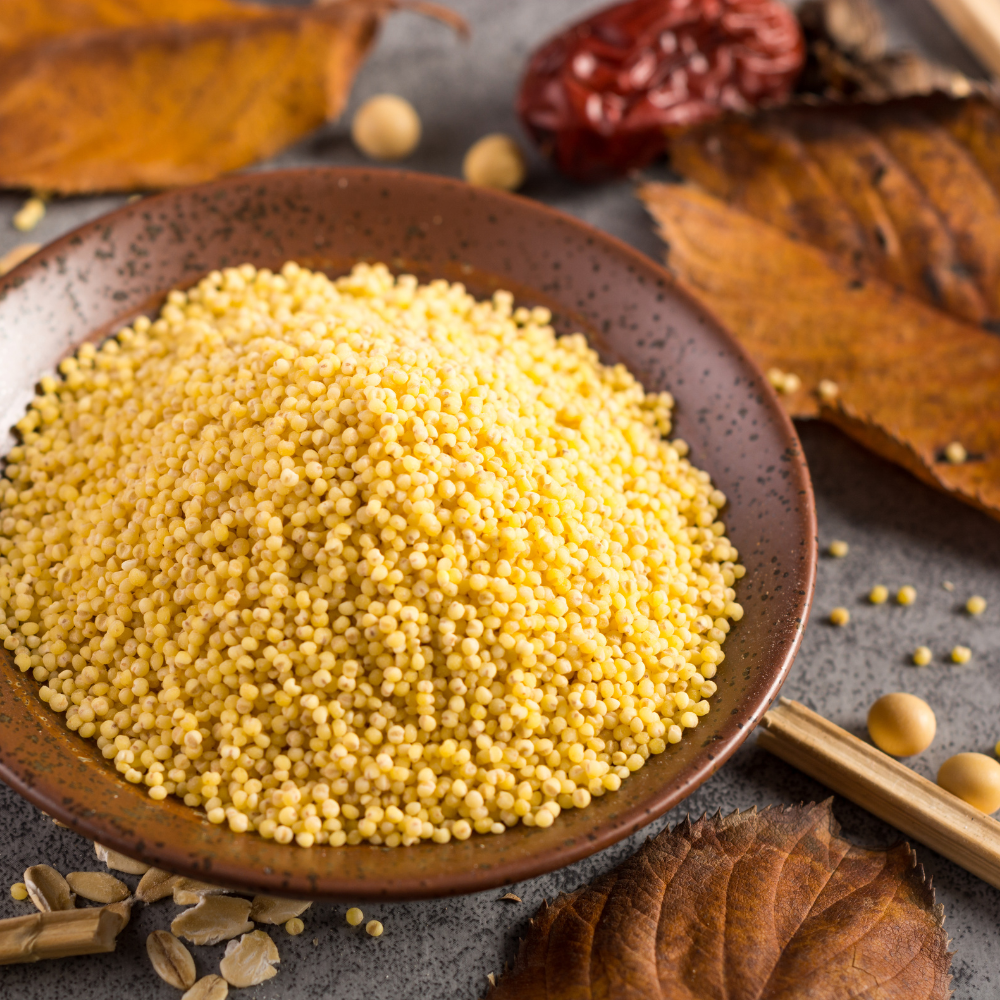 Little Millet: Benefits, Uses, Nutrition- Everything You Need to Know ...