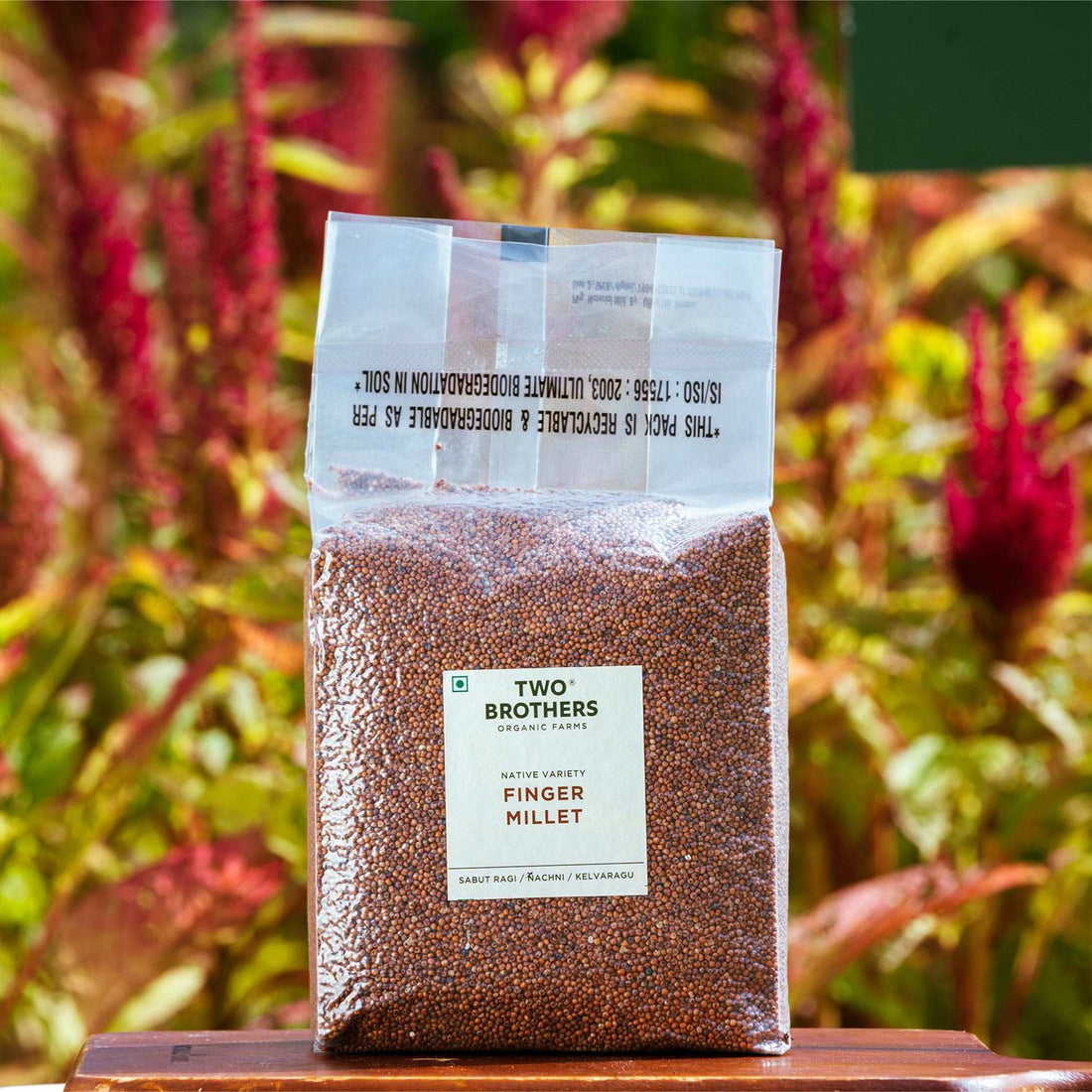 Buy Organic Millets, Lentils & Grains Collection Online in US Store