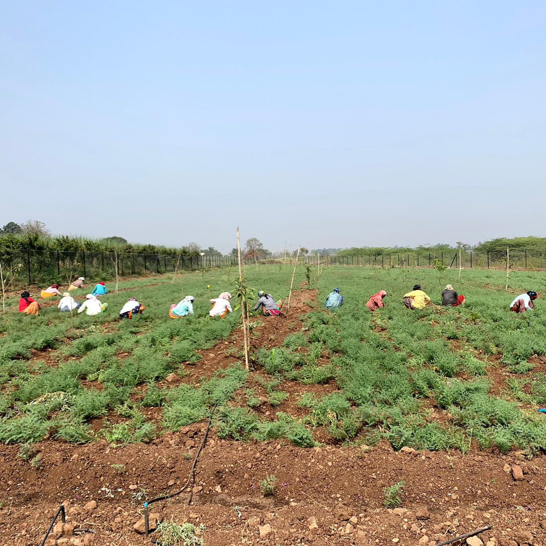 Two Brothers USA – Our Food Philosophy on Quality and Tradition – USA ...