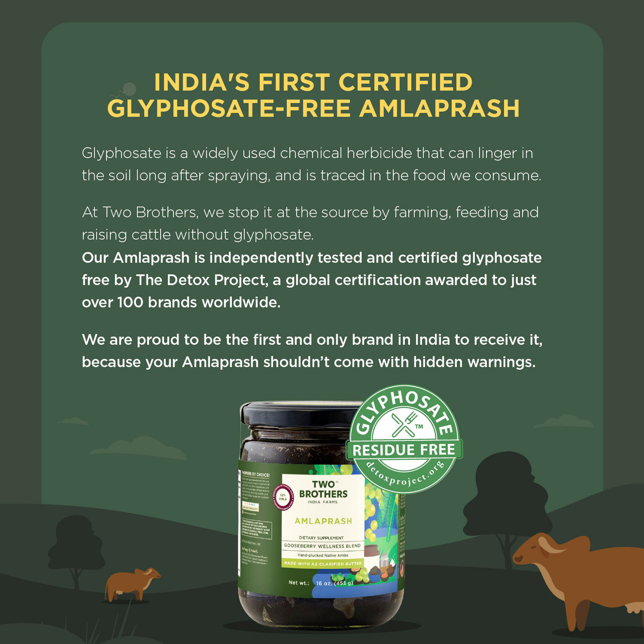 Organic Gooseberry Jam - Buy Amlaprash Online – USA Two Brothers Farms