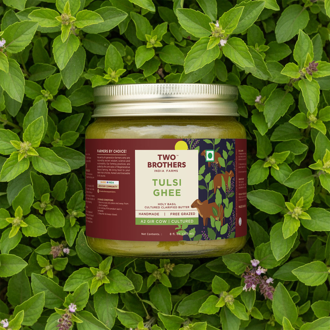 Original Grass Fed Organic Ghee - Lactose Free Ghee – USA Two Brothers ...